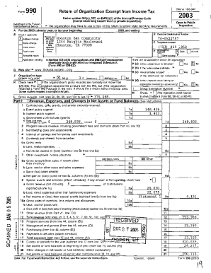 Fillable Online 2019 Instructions for Form 990 Return of Organization ...