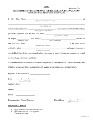 Fillable Online Passport Application & InstructionsThe Belize High ...