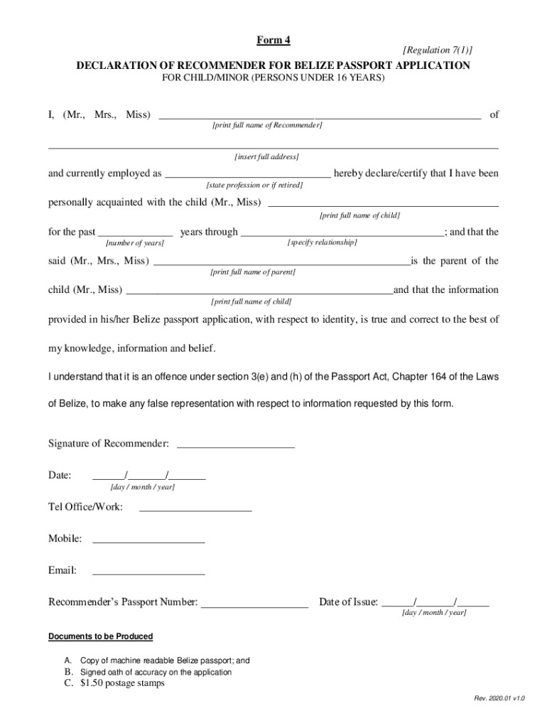 Fillable Online Passport Application & InstructionsThe Belize High ...