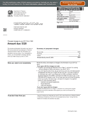 Fillable Online IRS Letter CP2000 Sample - Tax Audit Defense and Audit ...