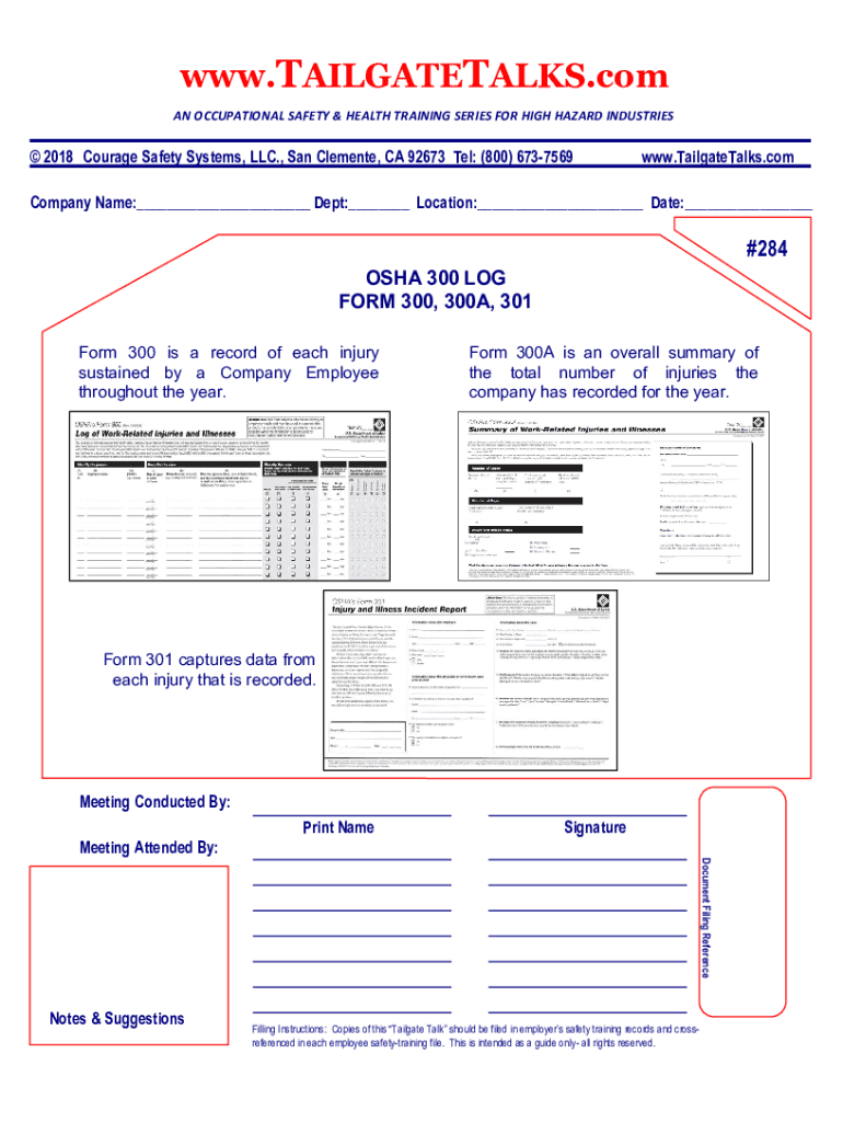 Fillable Online FORM 300, 300A, 301 Fax Email Print - pdfFiller