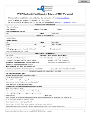 Nysif Efroi - Fill and Sign Printable Template Online