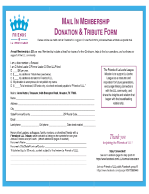 Fillable Online Affidavit of support form i- 864p. Affidavit of support ...