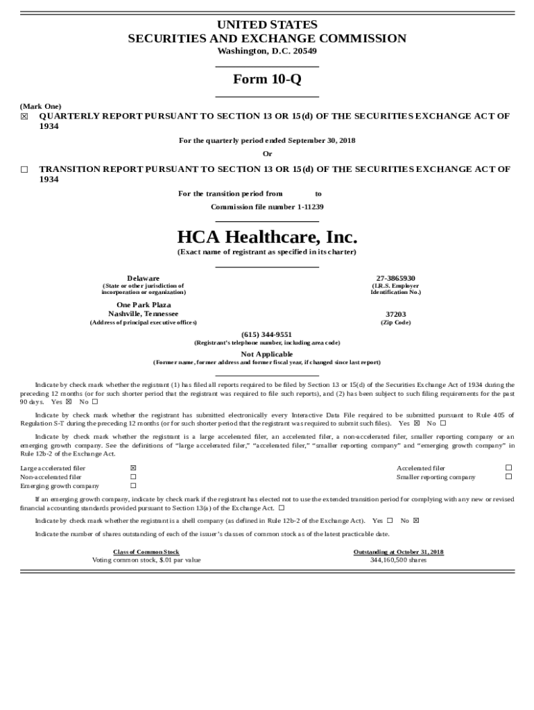 Fillable Online Hca Healthcare Financial Statements - health-medical ...