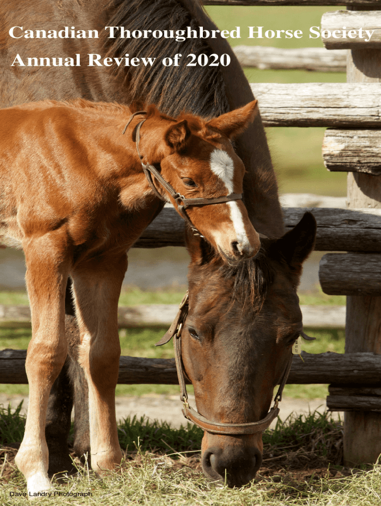 Fillable Online Canadian Thoroughbred Horse Society (CTHS ...