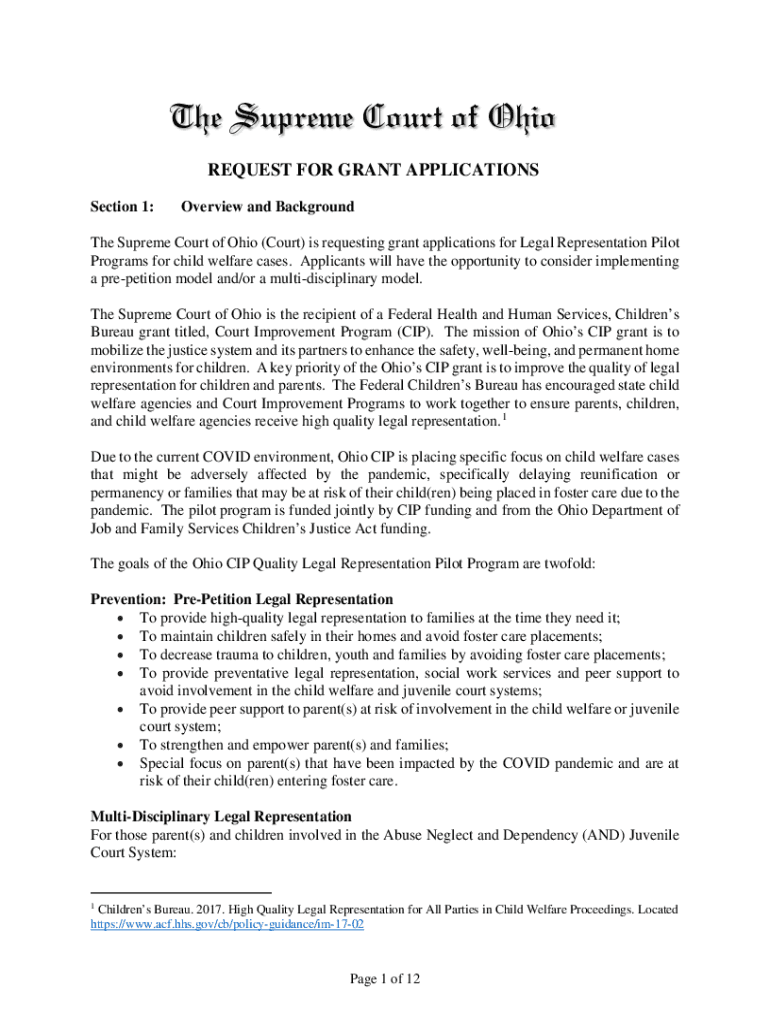 Fillable Online Ohio CIP Quality Legal Representation Pilot Program ...