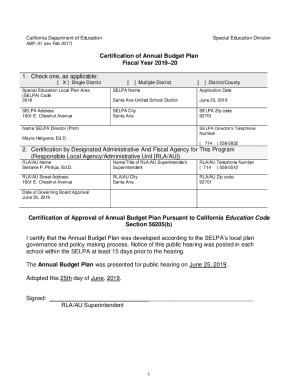 Fillable Online PDF ABP-O1 Budget Form - Data Collection & Reporting ...