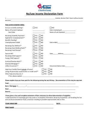 Fillable Online PDF No/Low Income Declaration Form Fax Email Print ...