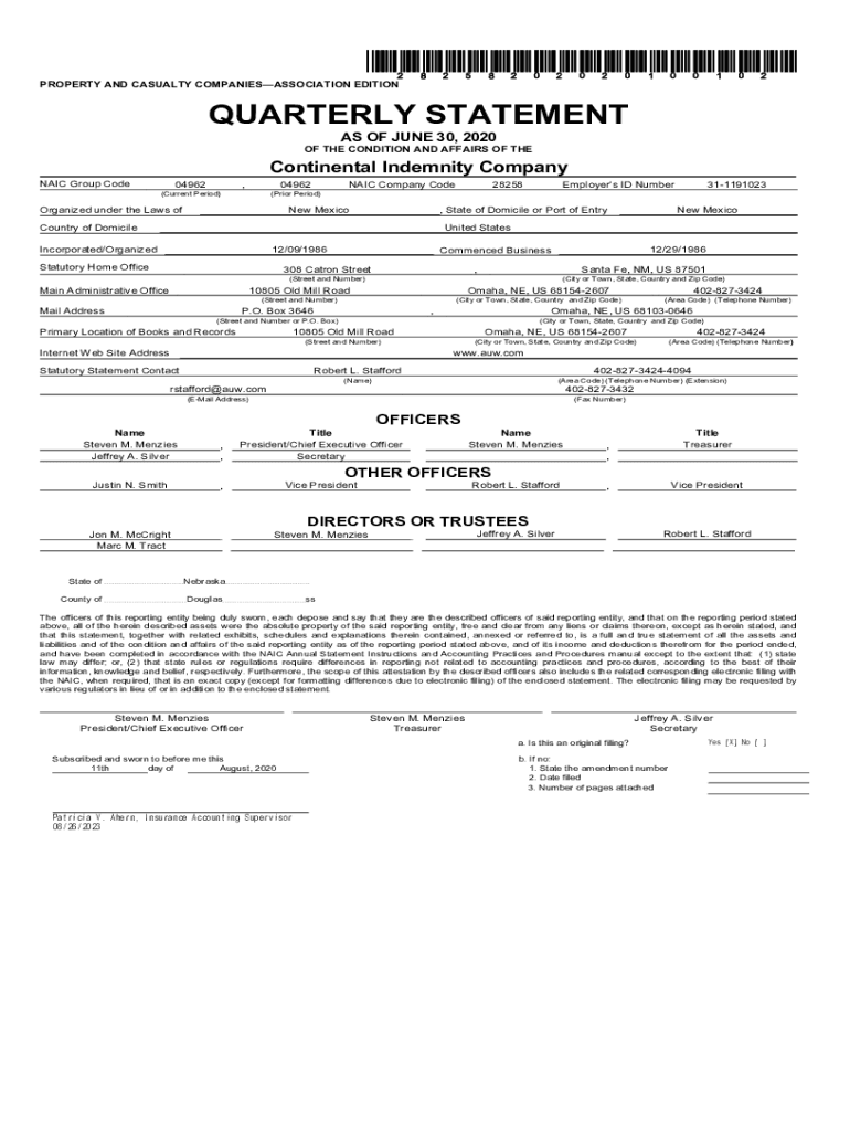 Fillable Online Steps to Completing a Financial Statement Filing - NAIC Fax Email Print - pdfFiller