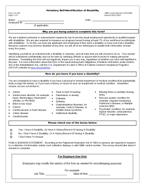 Fillable Online Fillable Online Voluntary Self Identification Form ...