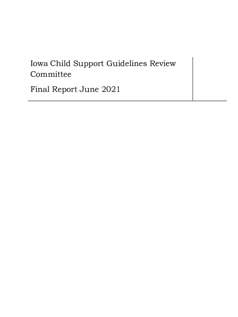 Fillable Online Iowa Child Support Guidelines Review Committee Final ...