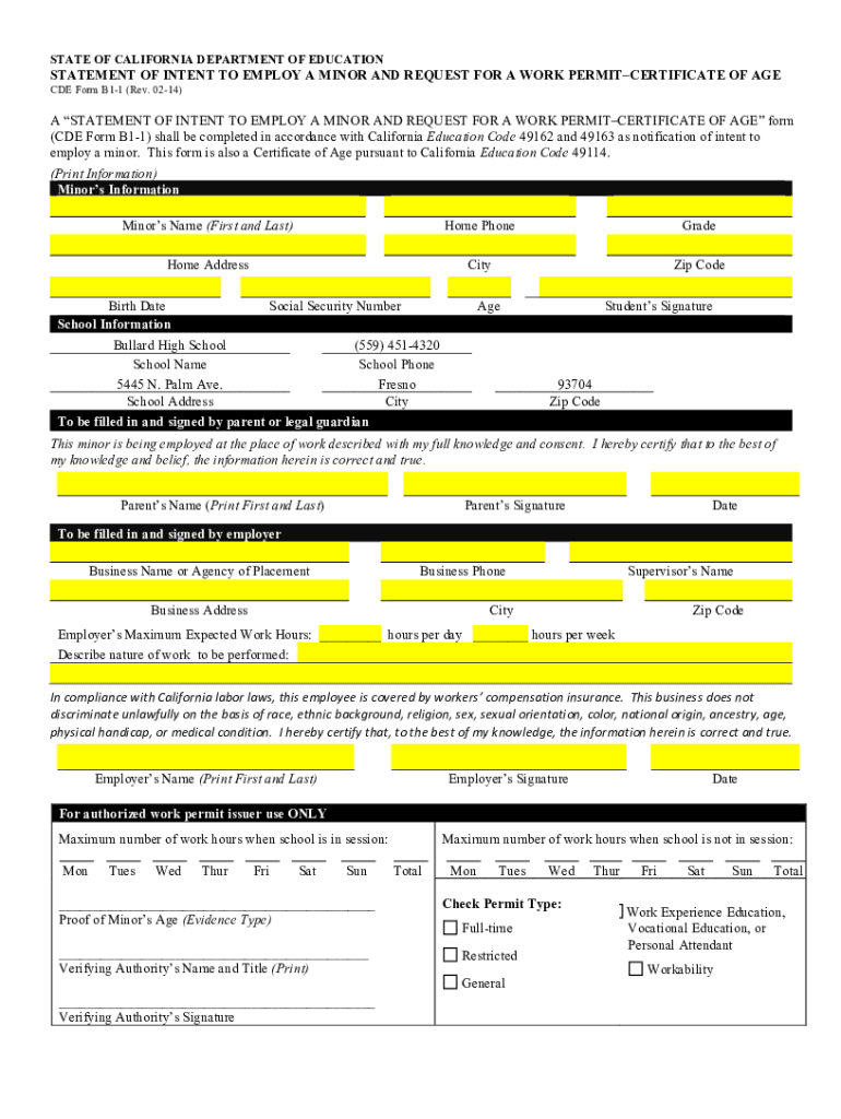 Fillable Online Work Permit Instructions and Request Form (COVID-19 Update) 2020-2021.docx Fax ...