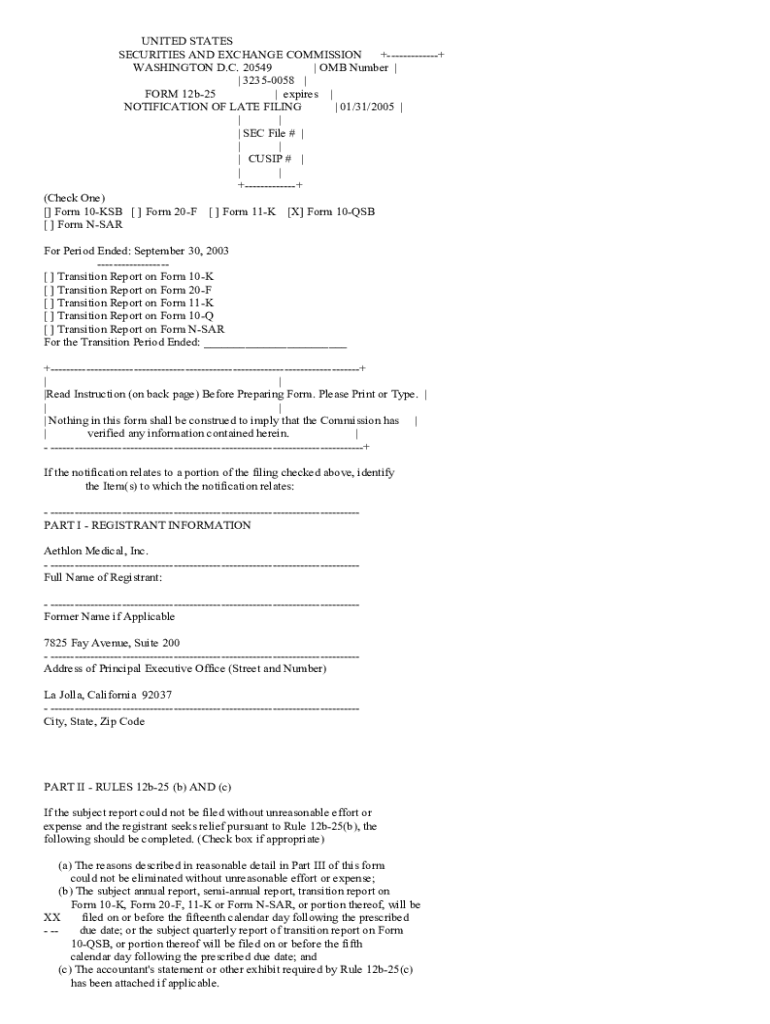 Fillable Online Form 10-KSB Form 20-F Fax Email Print - pdfFiller