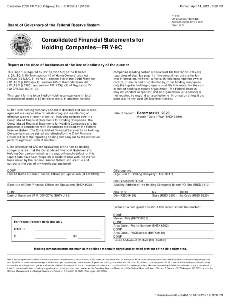 Fillable Online Consolidated Financial Statements for Holding ...