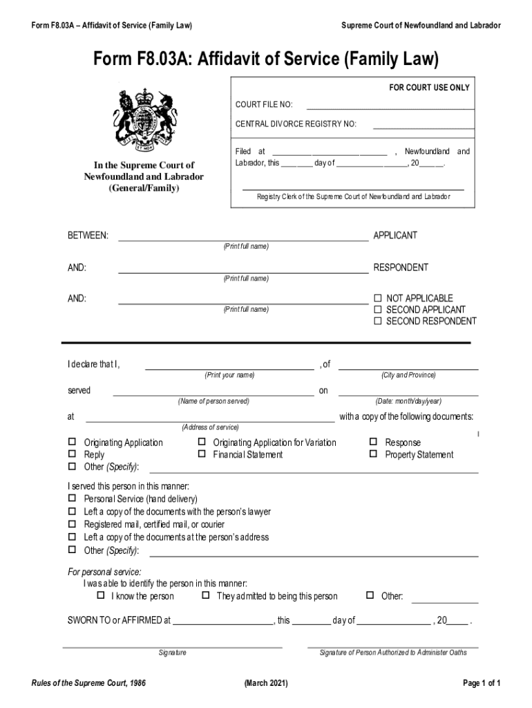 Fillable Online court nl Form F8.03A: Instructions Affidavit of Service ...