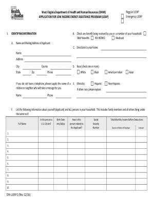 Fillable Online Application for Low Income Energy Assistance Program ...