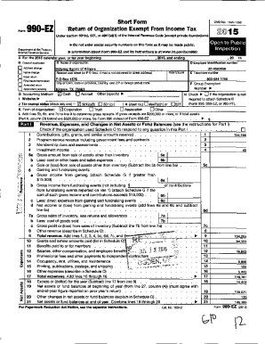 Fillable Online Instructions for Form 990 Return of Organization Exempt ...