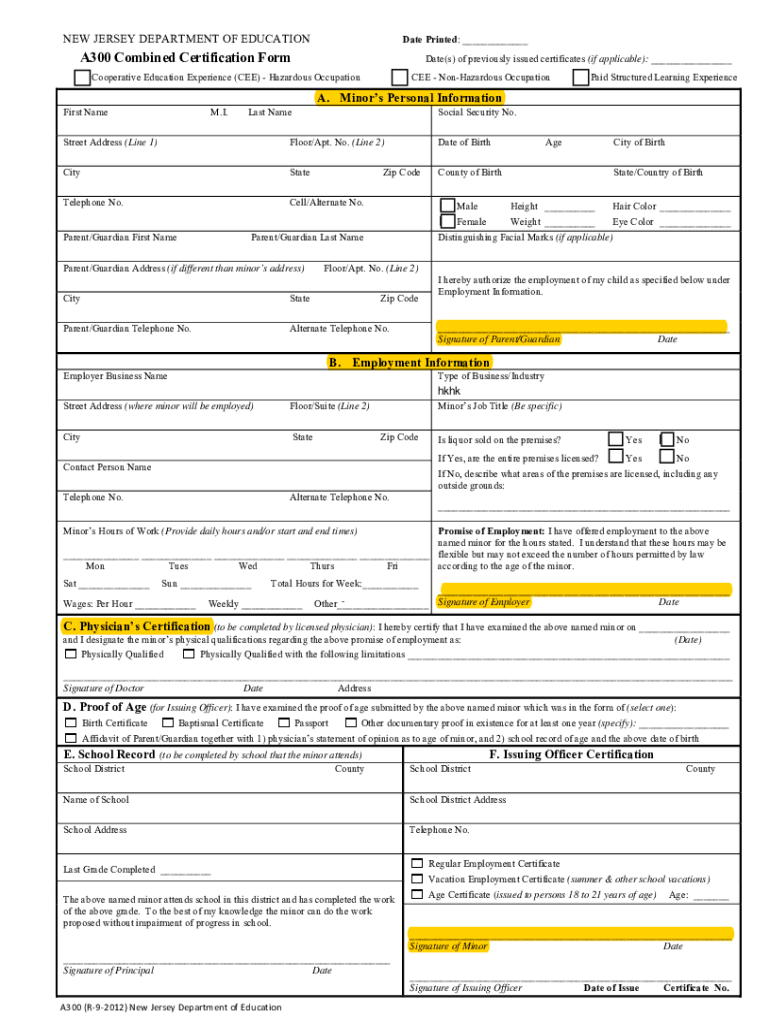 Fillable Online A300 Working Papers Fax Email Print - pdfFiller