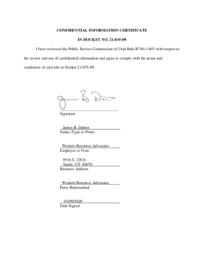 Fillable Online Guidelines for the Filing of Confidential Information ...