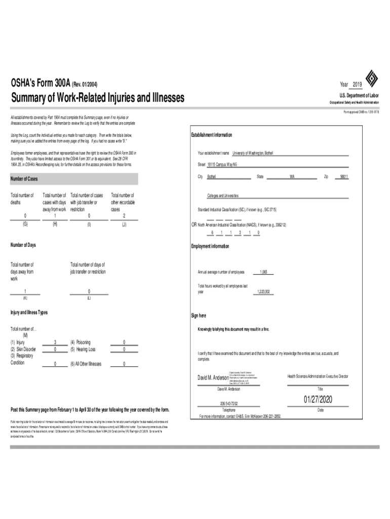 Fillable Online OSHA's Form 300A - Summary of Work-Related Injuries and ...