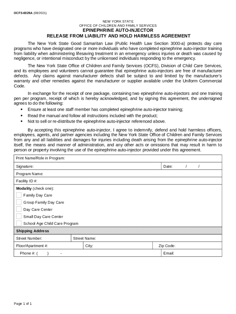 6029a ocfs Doc Template | pdfFiller