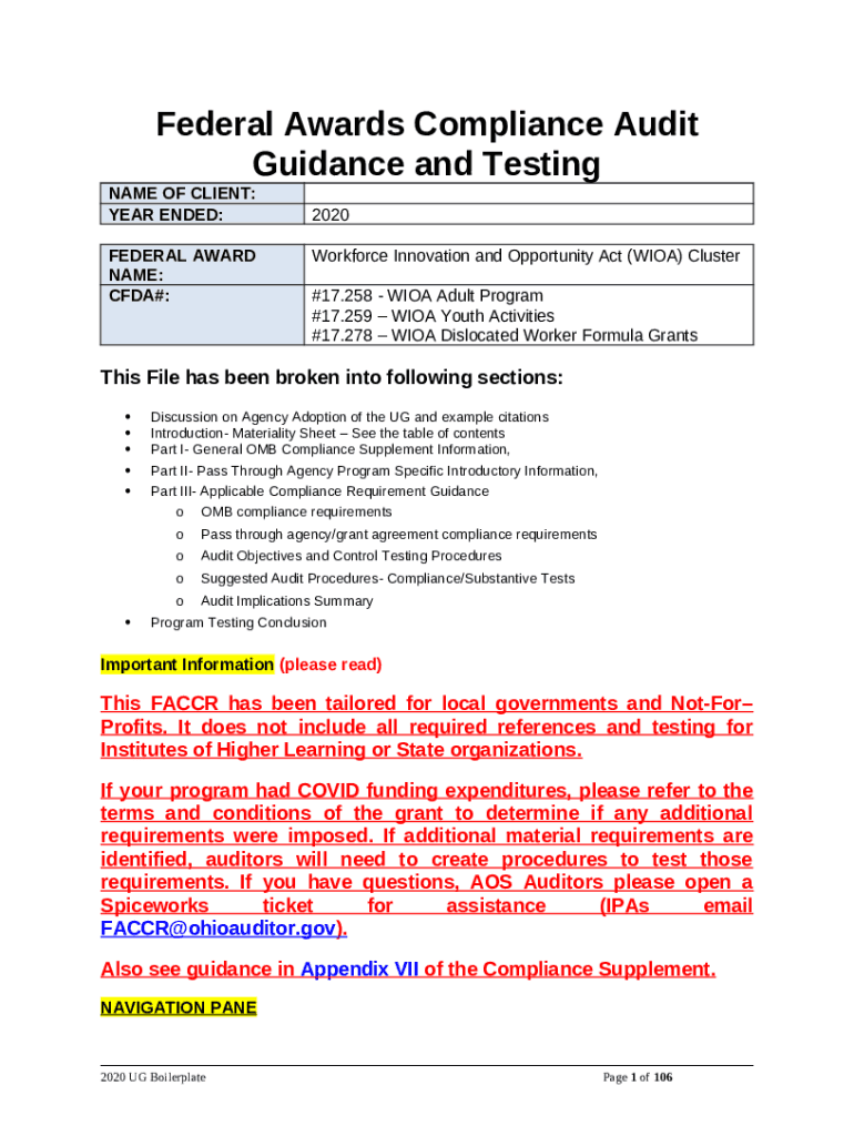 258 - WIOA Adult Program Doc Template | pdfFiller