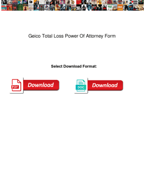 Fillable Online Geico Total Loss Power Of Attorney Form. Geico Total ...