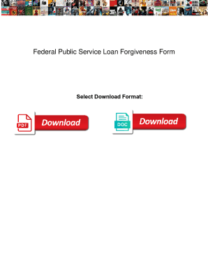 Fillable Online Federal Public Service Loan Forgiveness Form. Federal ...