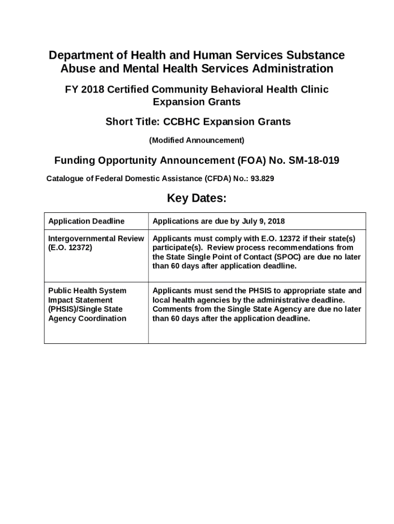 Drug Court Treatment Plan Template Doc Template | pdfFiller