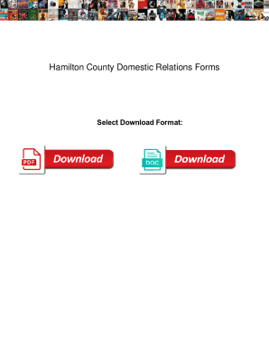 Fillable Online Hamilton County Domestic Relations Forms. Hamilton ...