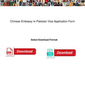 Fillable Online Chinese Embassy In Pakistan Visa Application Form ...