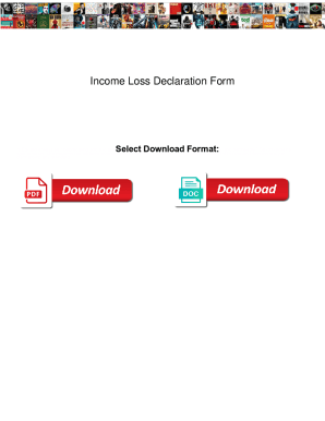 Fillable Online Income Loss Declaration Form. Income Loss Declaration ...