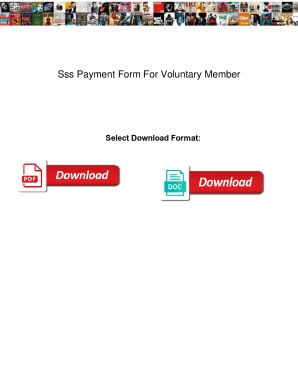 Fillable Online Sss Payment Form For Voluntary Member. Sss Payment Form ...