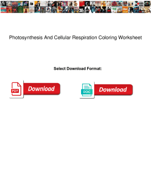 Fillable Online Photosynthesis And Cellular Respiration Coloring ...