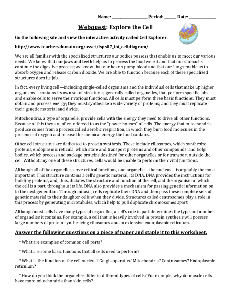 Fillable Online Rock Cycle Webquest Worksheet Answer Key + My PDF ...