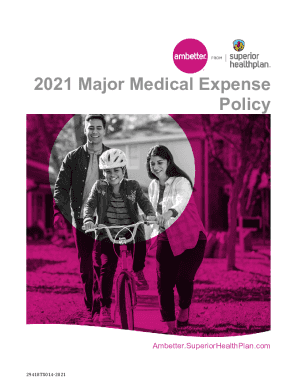 Fillable Online Health Insurance Terms GlossaryAmbetter from Superior ...