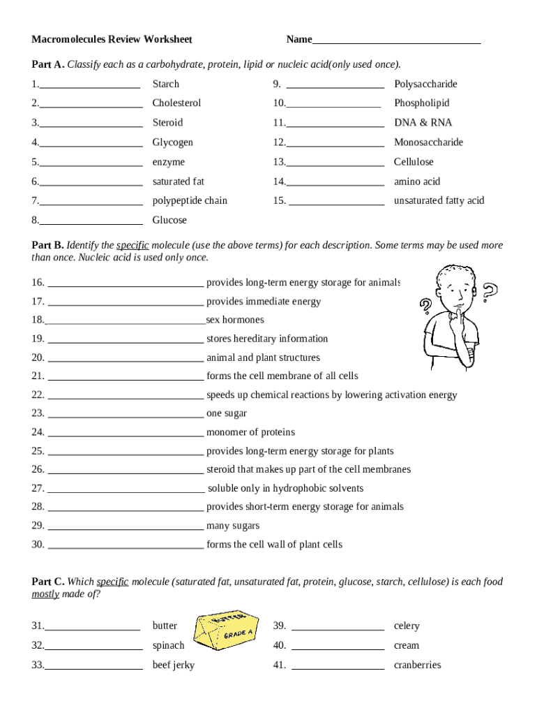 Macromolecules Worksheet #2 Part A FlashcardsQuizlet Doc Template ...