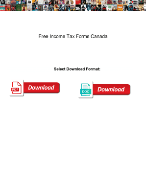Fillable Online Free Income Tax Forms Canada. Free Income Tax Forms ...