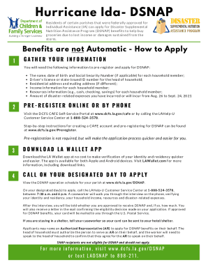 Fillable Online Ida DSNAP - How to Apply & Application Schedule Fax ...