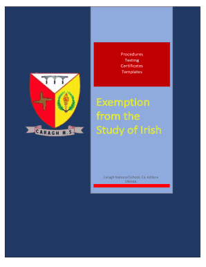 Fillable Online Exemption from the Study of Irish. Child Protection Fax ...