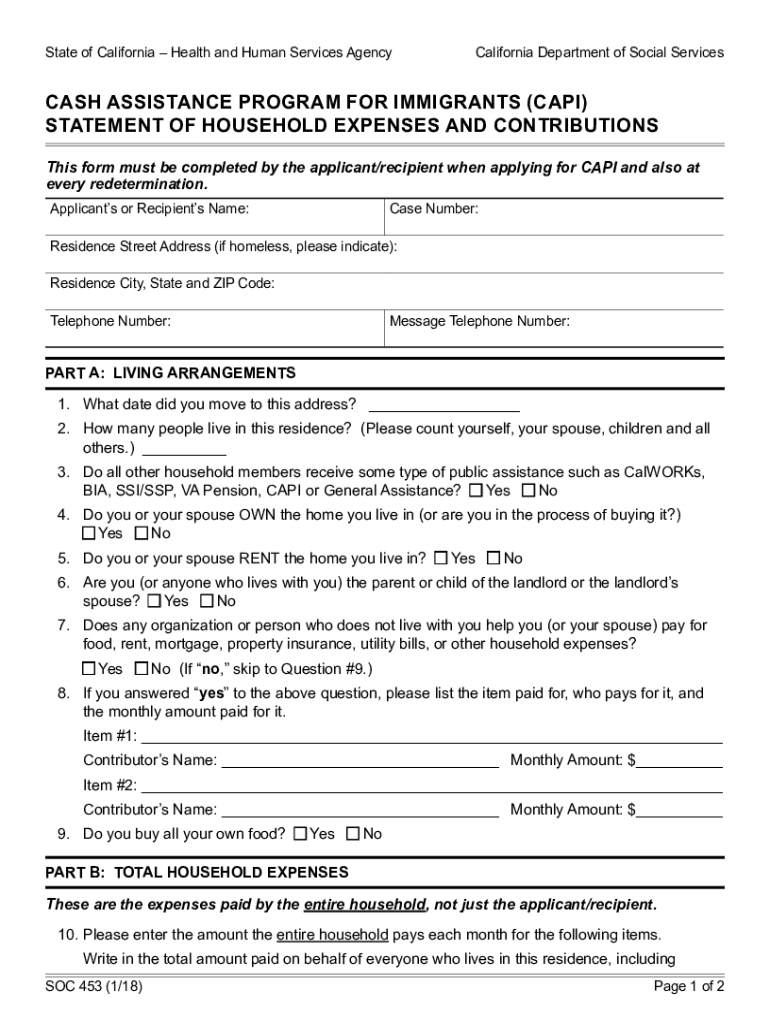 Fillable Online Cash Assistance Program For Immigrants (CAPI) Statement ...