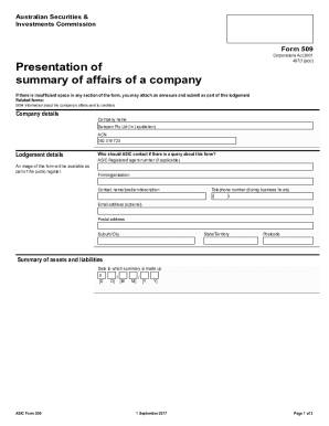 Fillable Online Form 509 - Presentation of summary of affairs of a ...