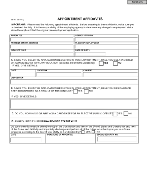Fillable Online Appointment Affidavit.pdf Fax Email Print - pdfFiller