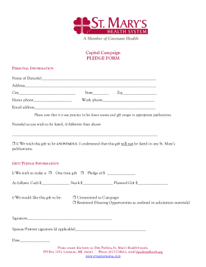 Fillable Online St. Mary's Capital Campaign Pledge Form Fax Email Print ...