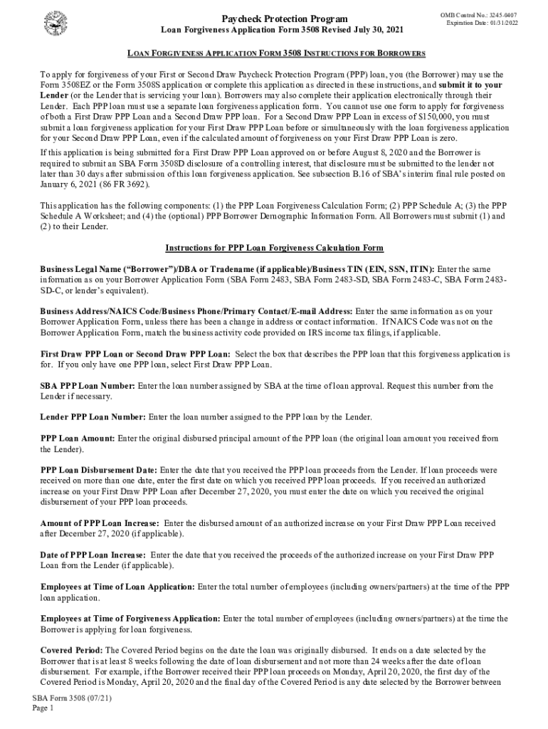 Fillable Online PPP Loan Forgiveness Application Form 3508 Revised July ...