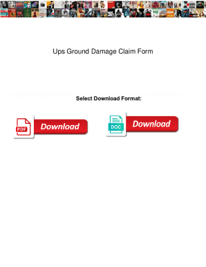 Fillable Online Ups Ground Damage Claim Form. Ups Ground Damage Claim ...