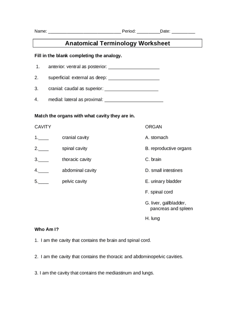 Anatomical Terminology Worksheet - Livingston Public Schools Doc ...