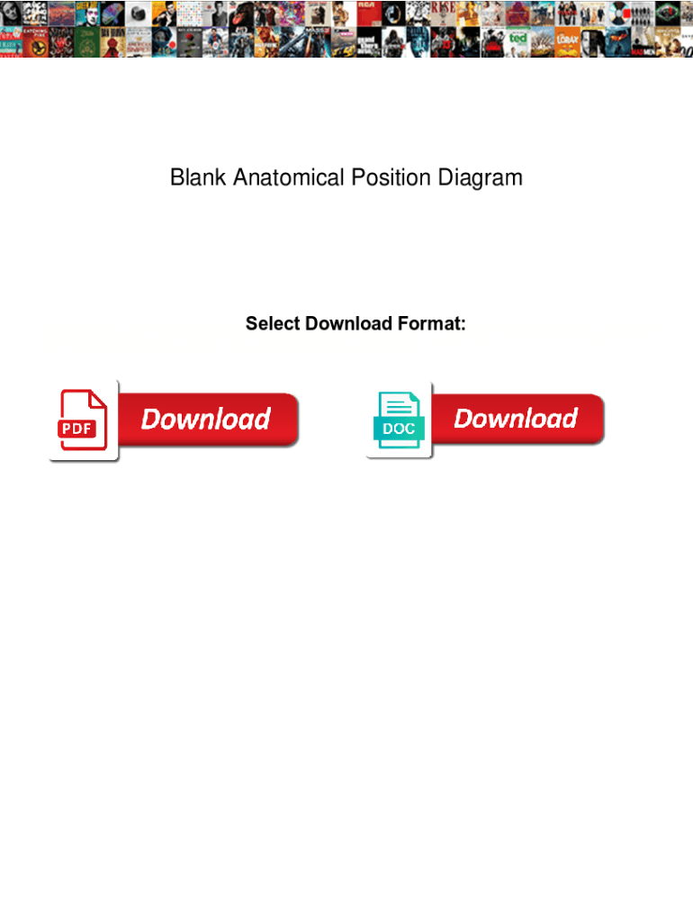 Fillable Online Blank Anatomical Position Diagram. Blank Anatomical ...
