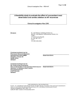 Fillable Online CIP Template Fax Email Print - pdfFiller