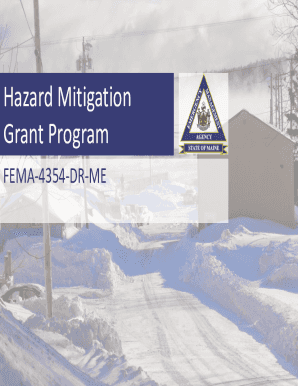 Fillable Online Hazard Mitigation Grant Program (HMGP)FEMA.govHazard ...
